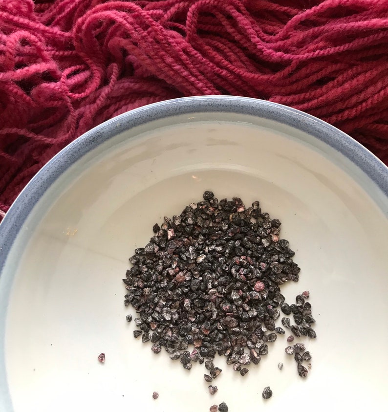 Whole Cochineal dye | Etsy