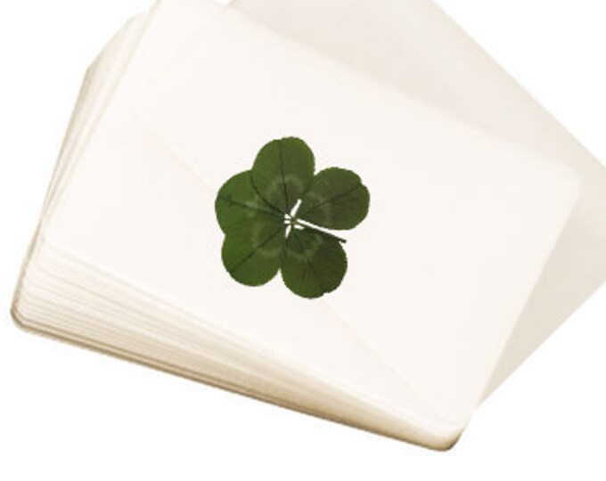 LAMINATED Lucky Real Five Leaf Clover From the White Clover - Etsy