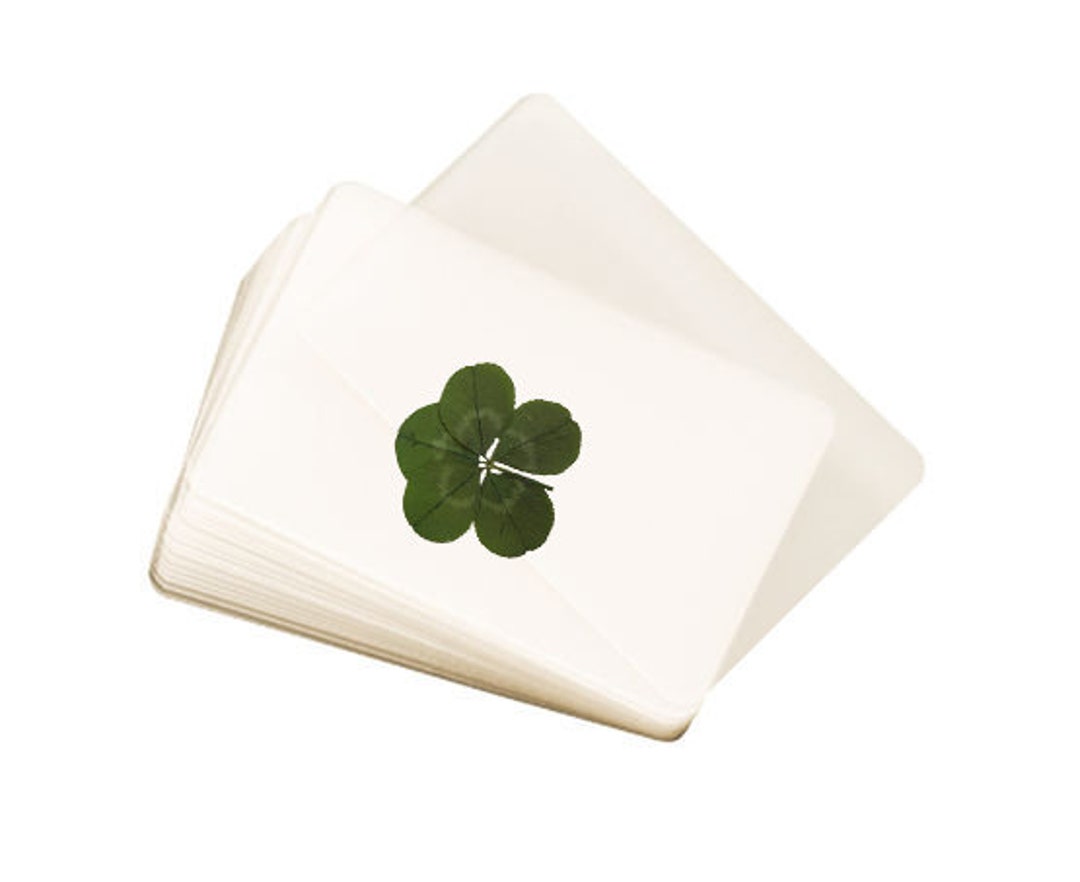 LAMINATED Lucky Real Five Leaf Clover From the White Clover - Etsy