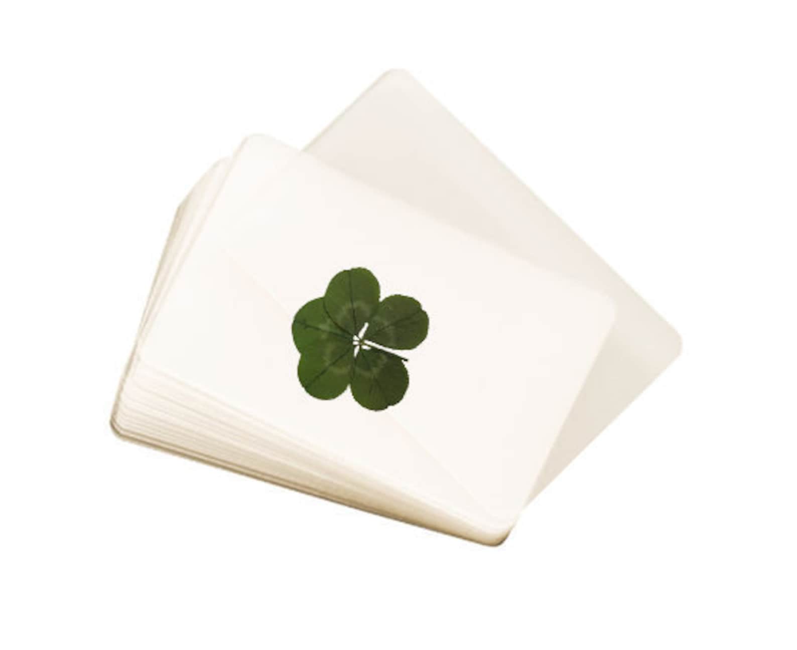 LAMINATED Lucky Real Five Leaf Clover From the White Clover - Etsy