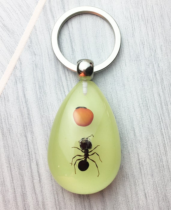 Real Giant Ant With Seed Glow in the Dark Resin Keyring - Etsy Singapore