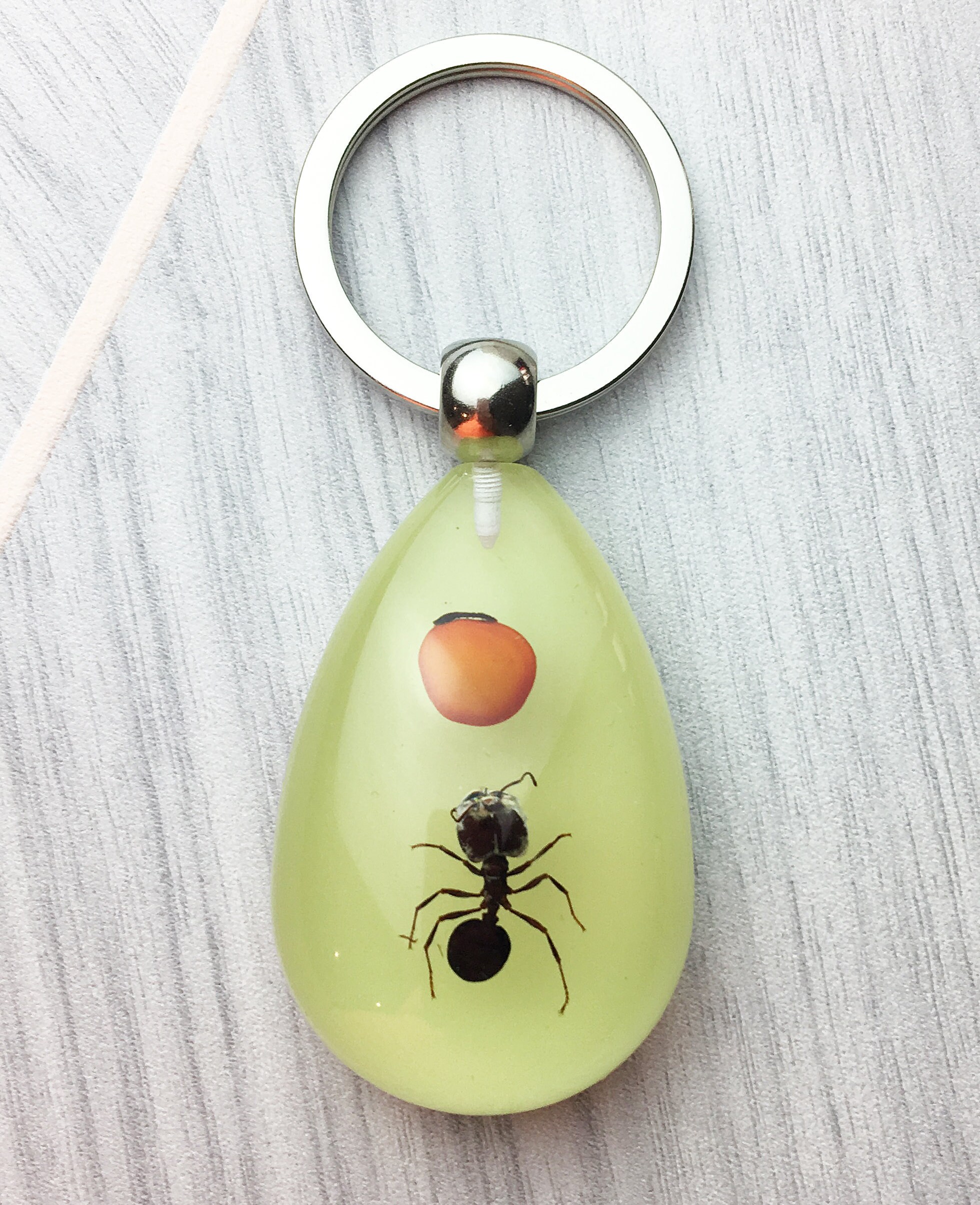 Real Giant Ant With Seed Glow in the Dark Resin Keyring - Etsy Singapore