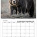 MISPRINTED Remembering Grizzly 399 Calendar - Etsy