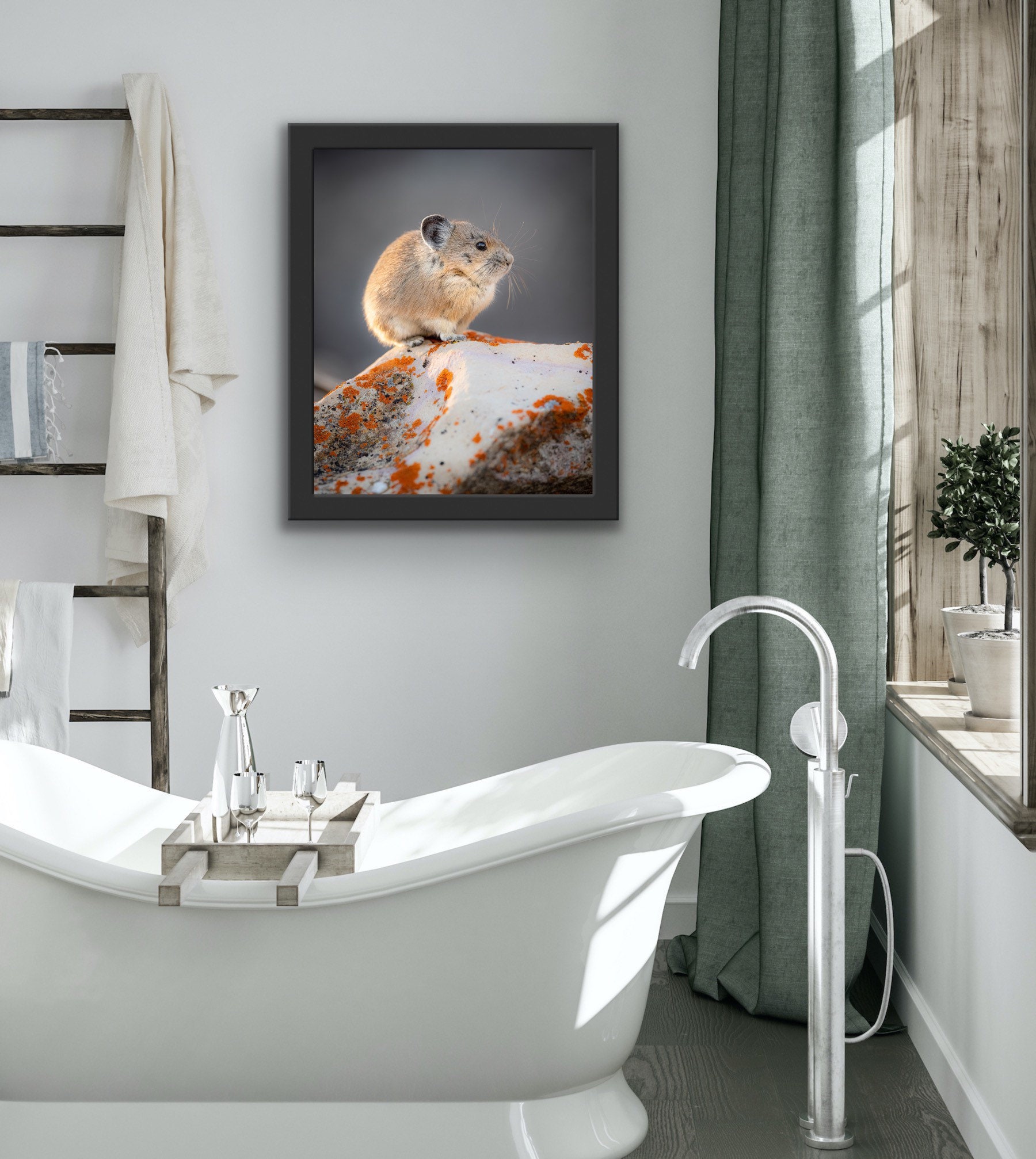 Golden Pika Giclee Prints - Etsy