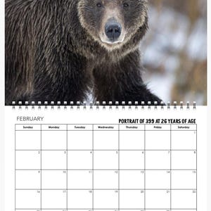 MISPRINTED Remembering Grizzly 399 Calendar - Etsy