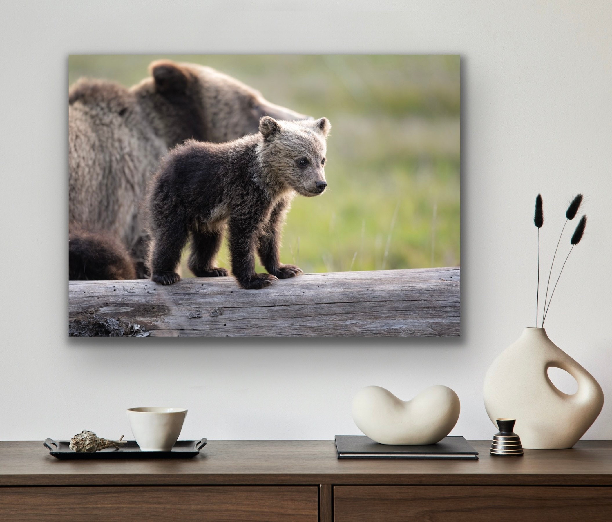 Baby Grizzly Cub Giclee Prints - Etsy