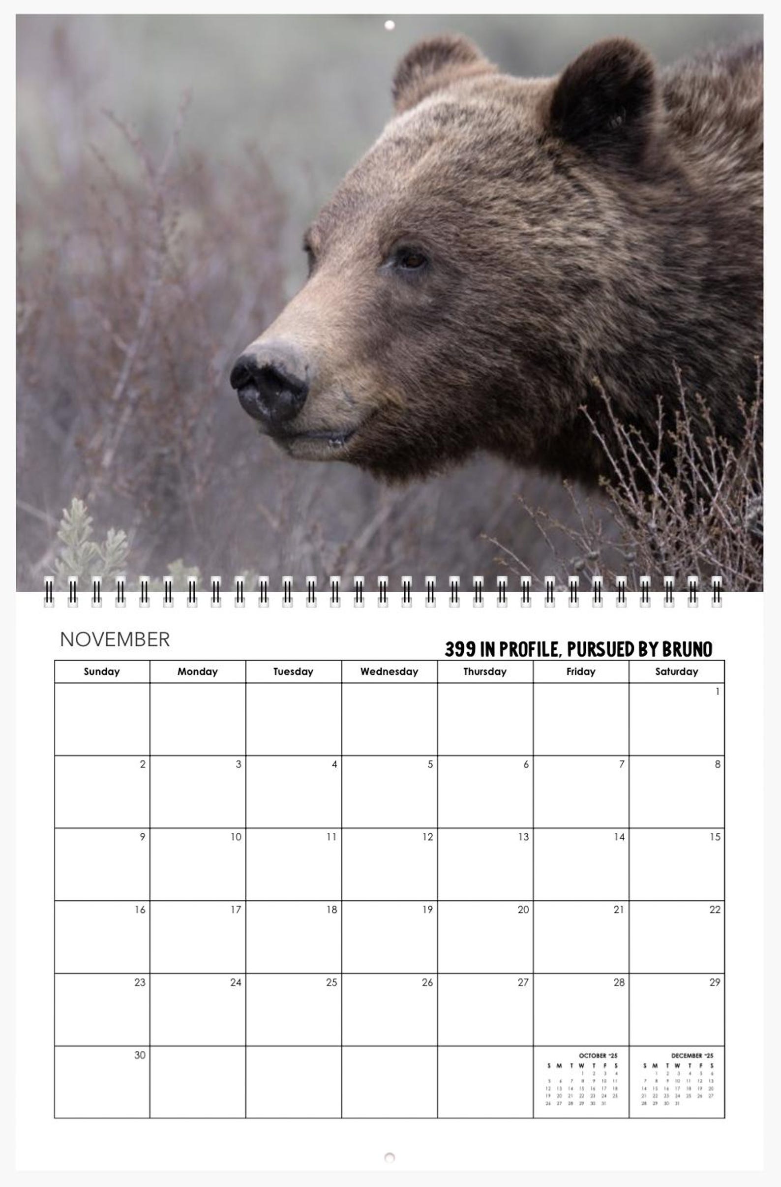 MISPRINTED Remembering Grizzly 399 Calendar - Etsy
