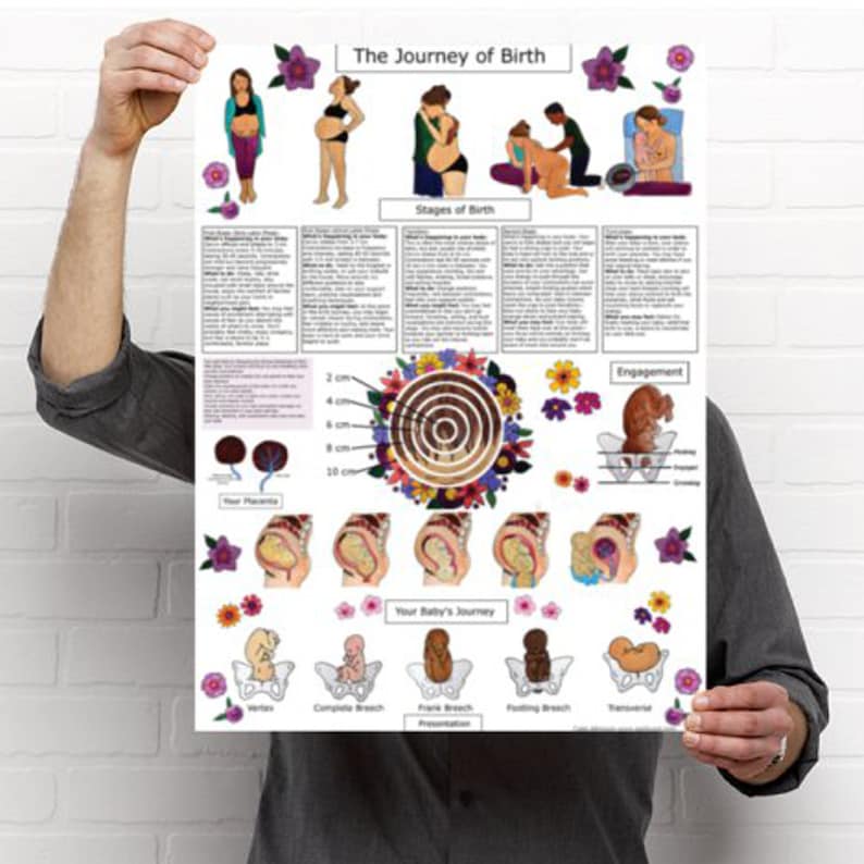 DIGITAL Journey of Birth Poster/ Childbirth Education/ | Etsy