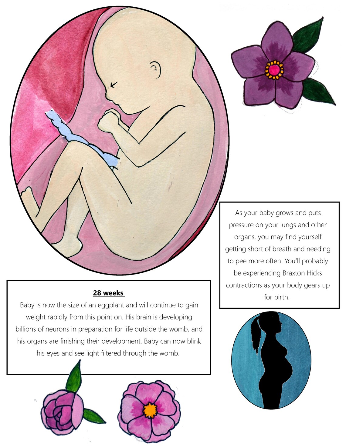 Childbirth Education Slides/ Set 3/ Slides 11-15 Fetal | Etsy