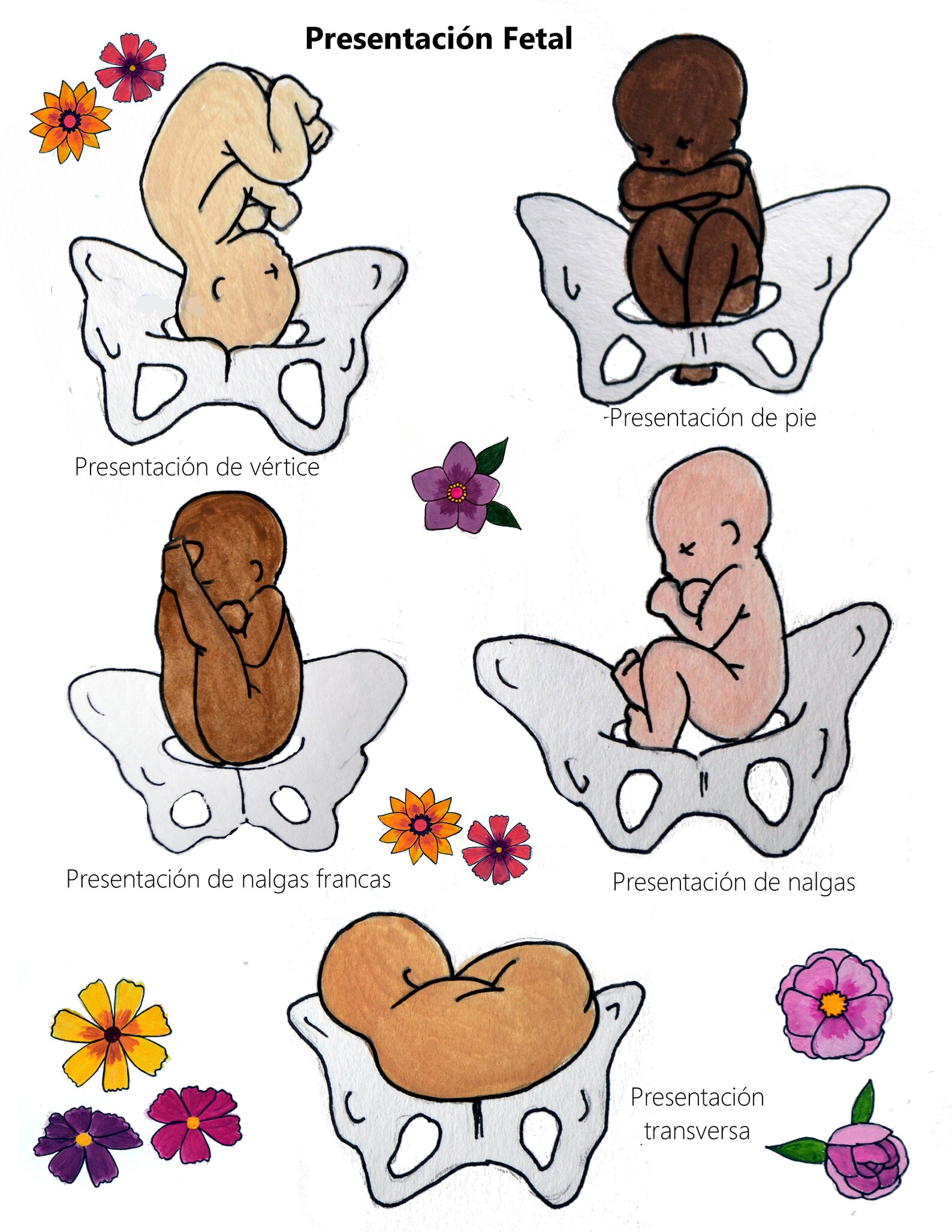 El Proceso Del Parto Pdfs Grupo 1 - Etsy Canada