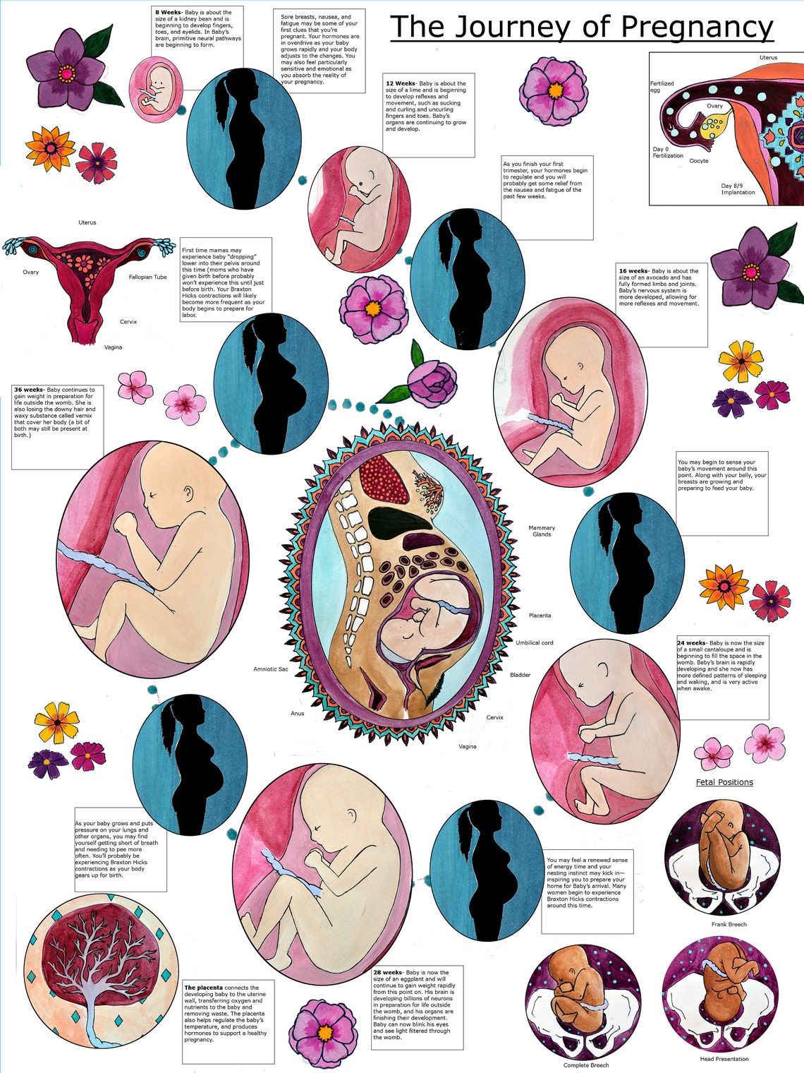 DIGITAL Journey of Pregnancy Poster/ Childbirth Education/ - Etsy
