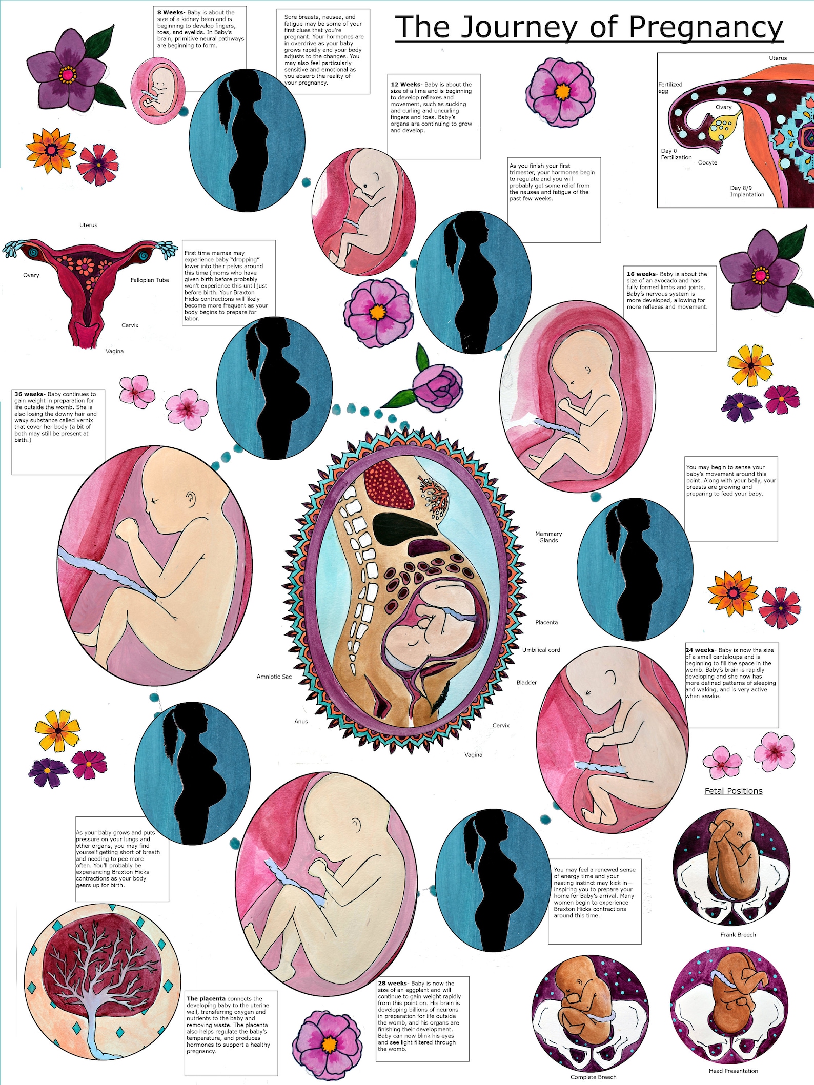 DIGITAL Journey of Pregnancy Poster/ Childbirth Education/ Pregnancy ...