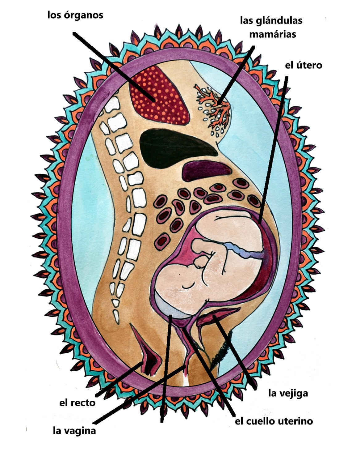 El Proceso Del Parto Pdfs Grupo 1 - Etsy Canada