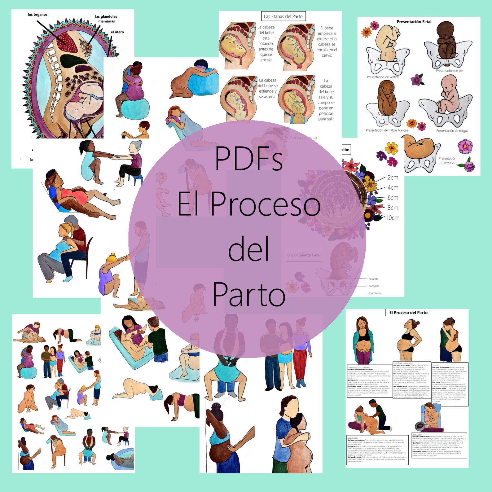El Proceso Del Parto Pdfs Grupo 1 - Etsy Canada