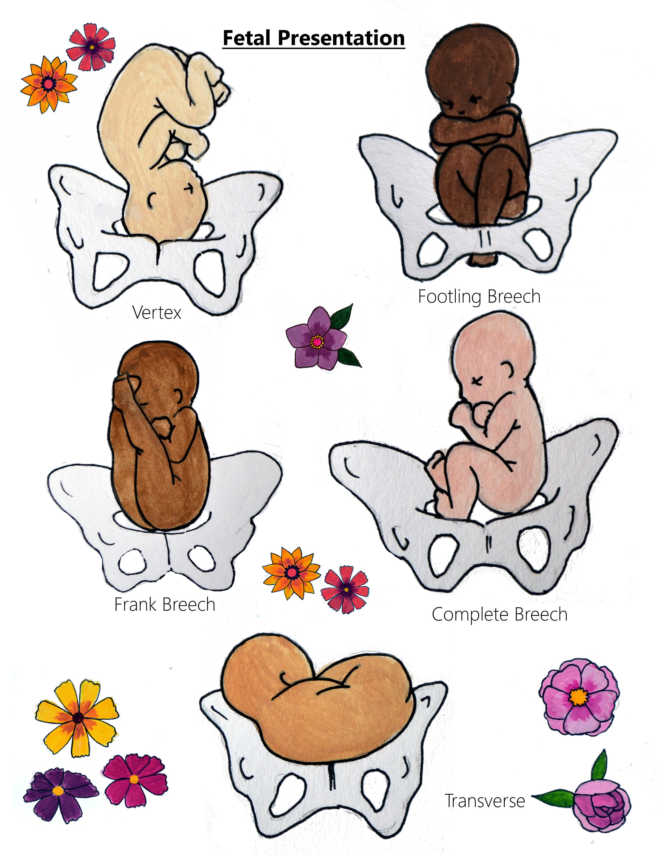 Childbirth Education Slides/ Set 1/ Slides 1-5/ PDFs/ Midwife/ | Etsy