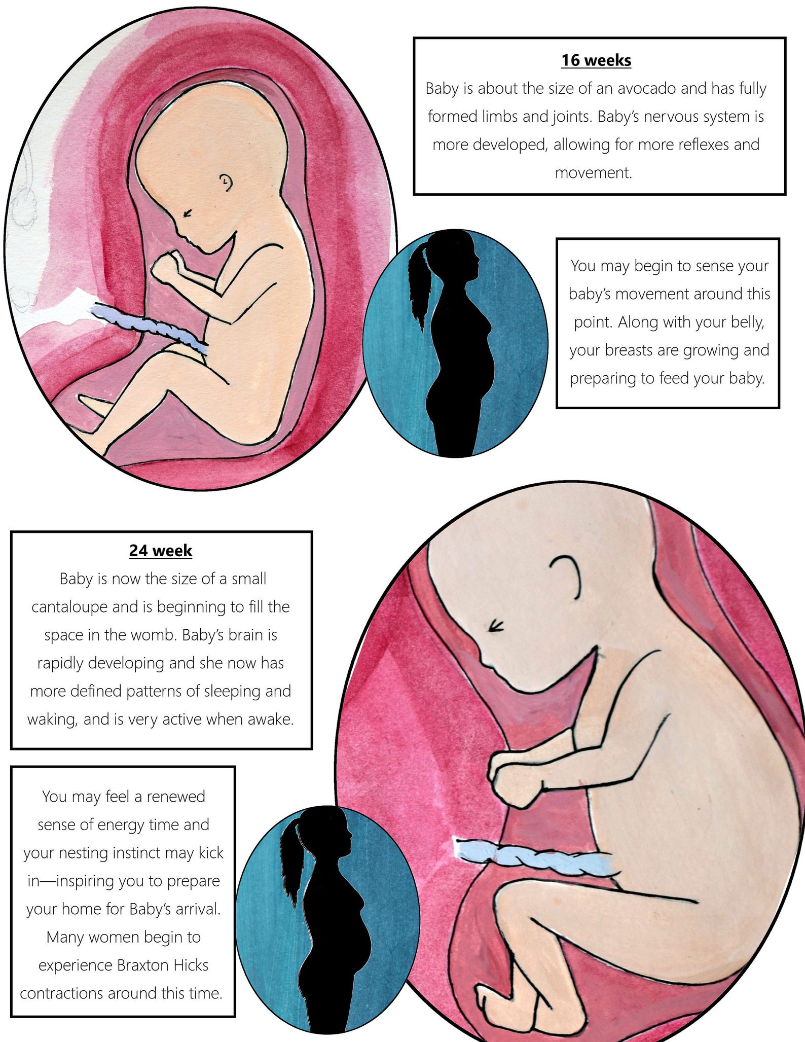 Childbirth Education Slides/ Set 3/ Slides 11-15 Fetal | Etsy