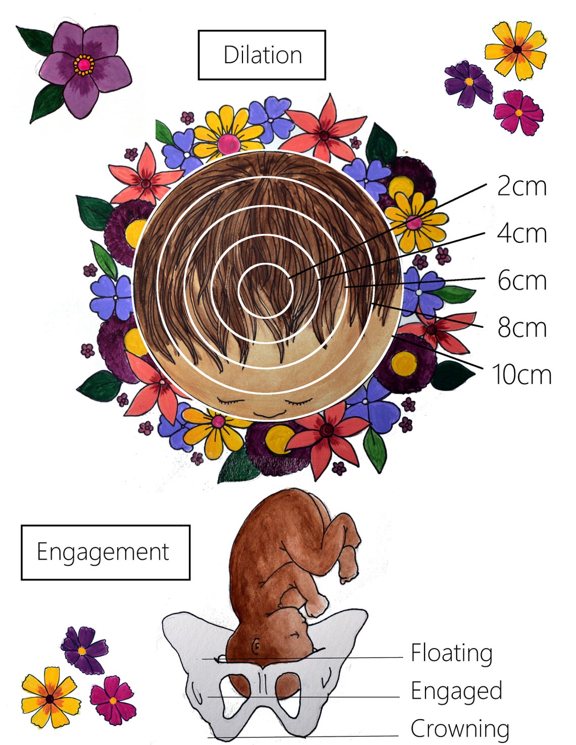 Childbirth Education Slides/ Set 1/ Slides 1-5/ PDFs/ Midwife/ | Etsy