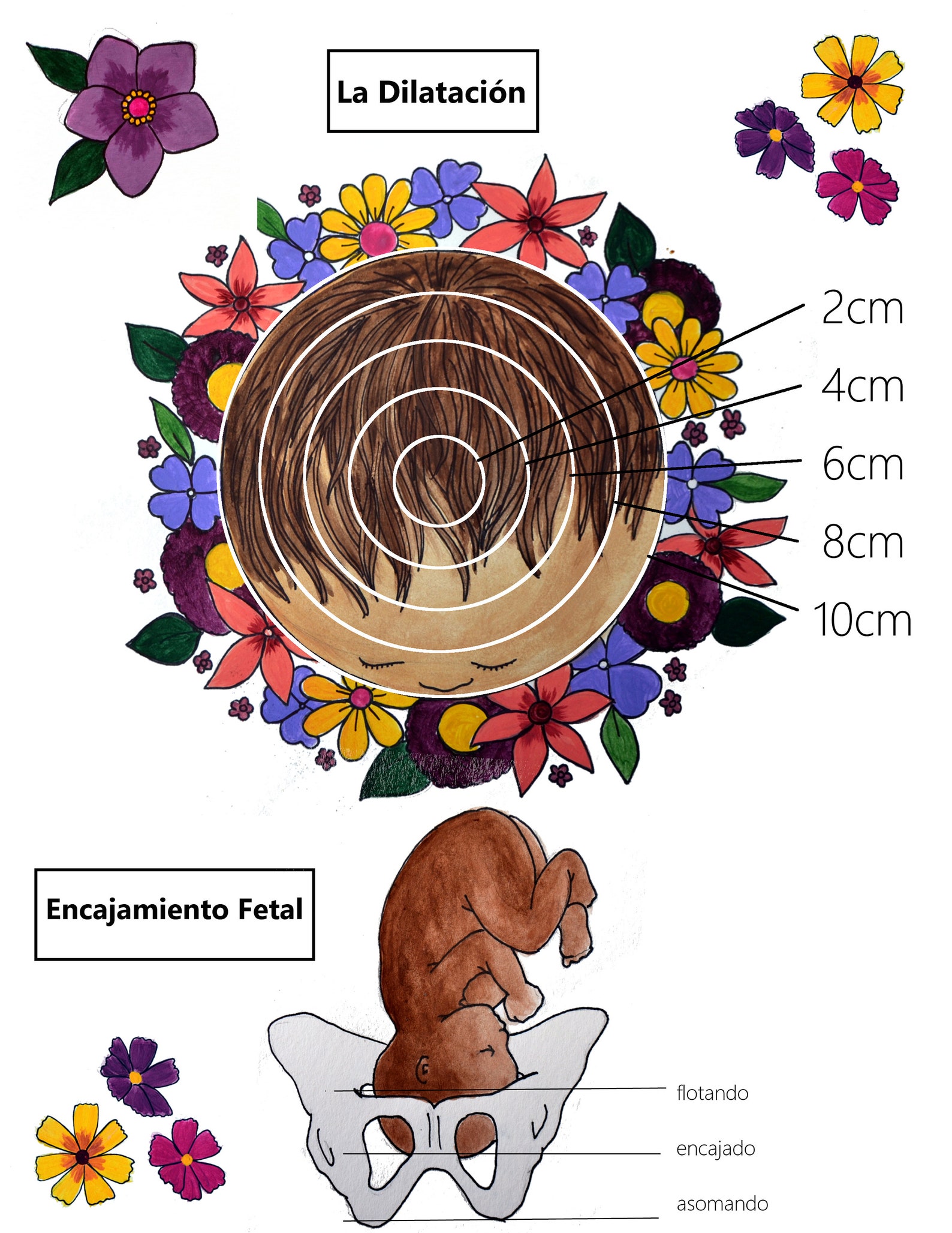 El Proceso Del Parto Pdfs Grupo 1 - Etsy Canada