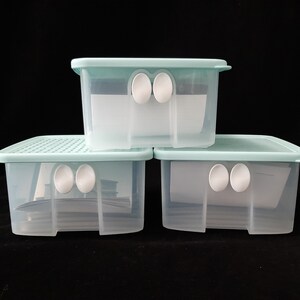 Tupperware Fridge Smart Small Box 1 Litre 6x 6 X 3 1/4 - Etsy
