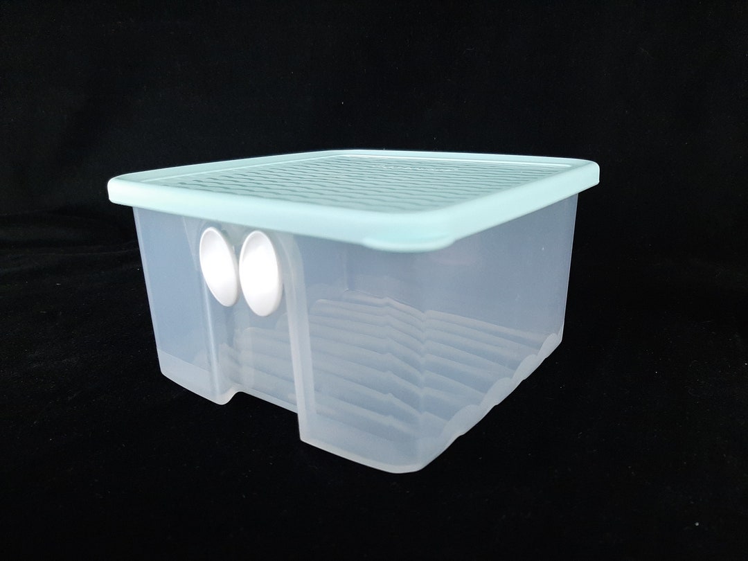 Tupperware Fridge Smart Small Box 1 Litre 6x 6 X 3 1/4 - Etsy