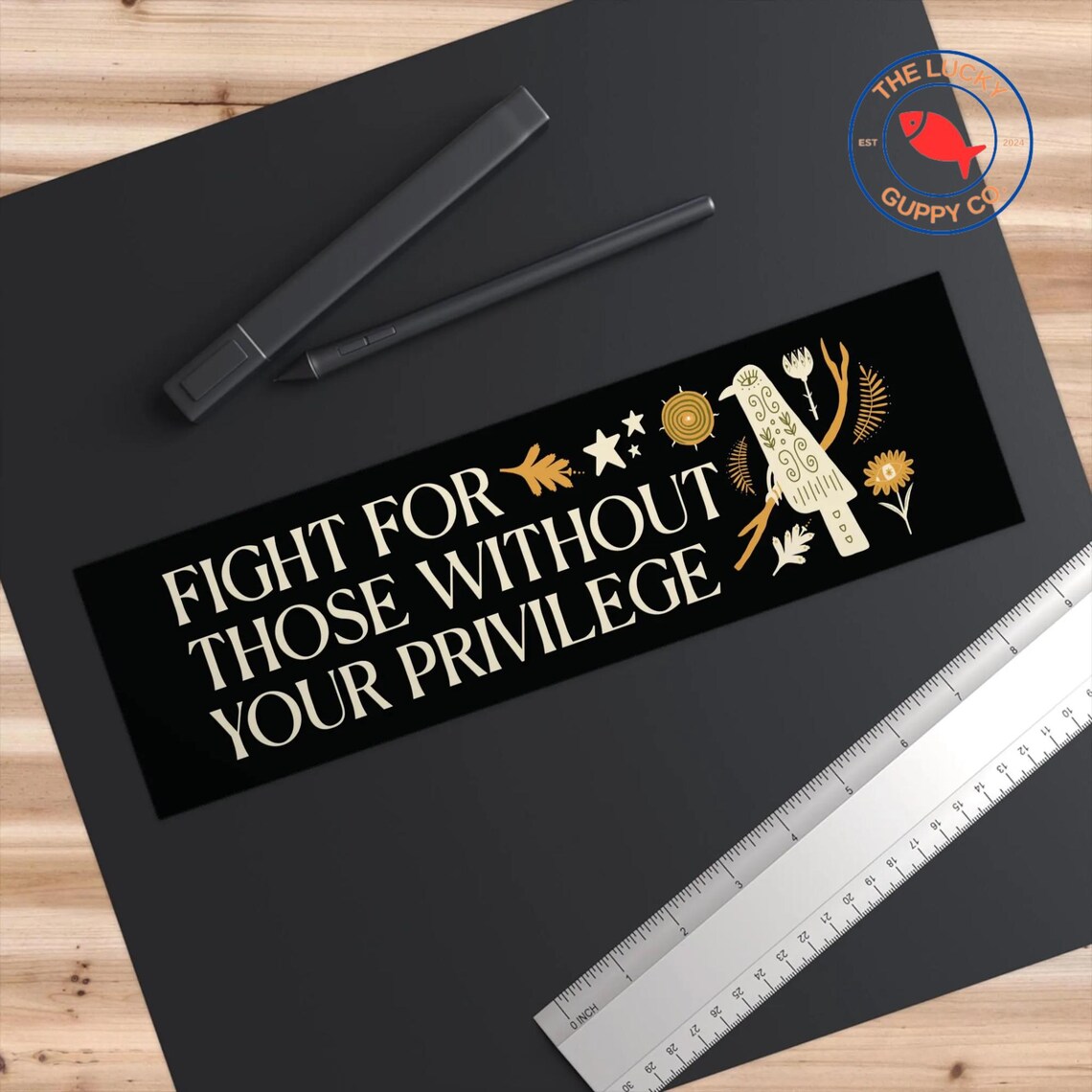 Fight for Those Without Privilege Bumper Sticker, Human Rights Car ...