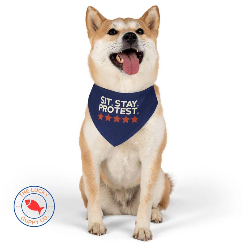 Sit Stay Protest Dog Bandana, Dogs for Democracy, Liberal Dog Shirt ...