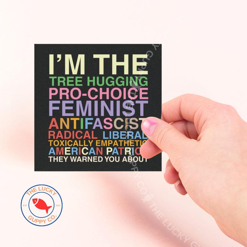 Left Lane Car Magnets - Etsy
