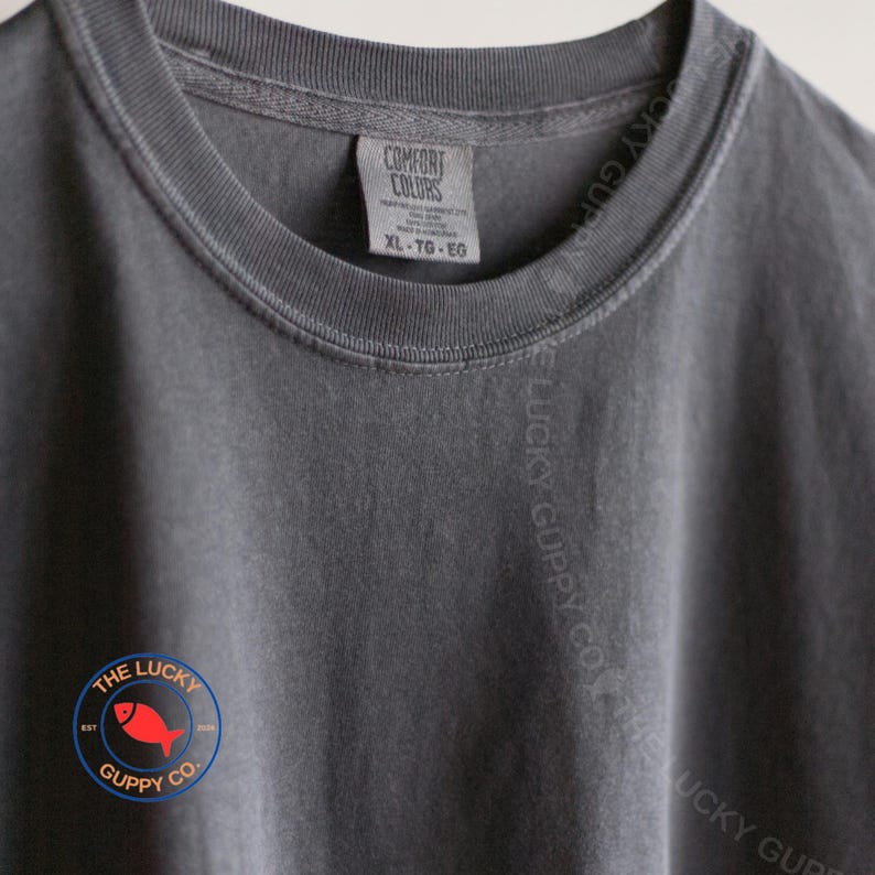 Public Parks Libraries Education Broadcasting Liberal Tshirt, PBS FDT ...