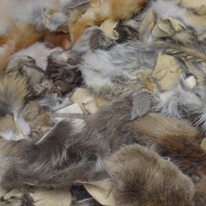 Genuine Animal Fur Scraps, Fox Scraps, Coyote Scraps, Raccoon Scraps ...