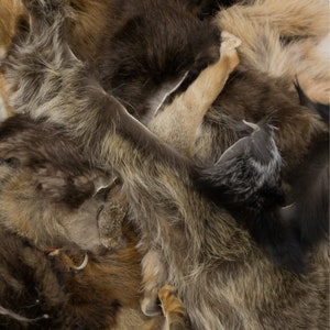 Genuine Animal Fur Scraps, Fox Scraps, Coyote Scraps, Raccoon Scraps ...