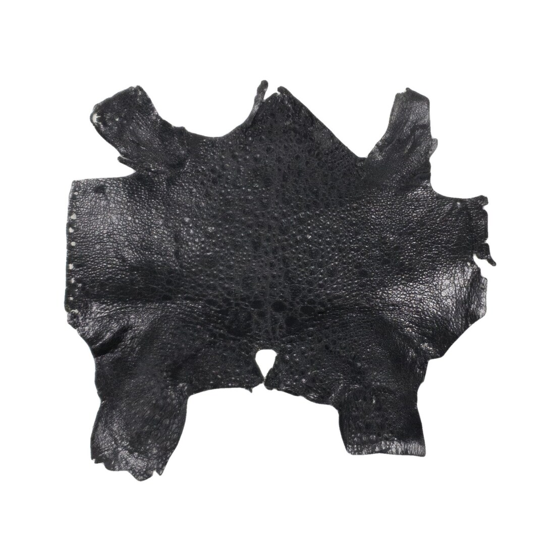 Genuine Leather Cane Frog Black Shiny Exotic Toad Skin Inlay Small ...