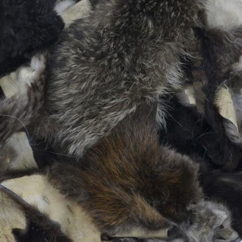 Genuine Animal Fur Scraps Fox Scraps Coyote Scraps Raccoon - Etsy