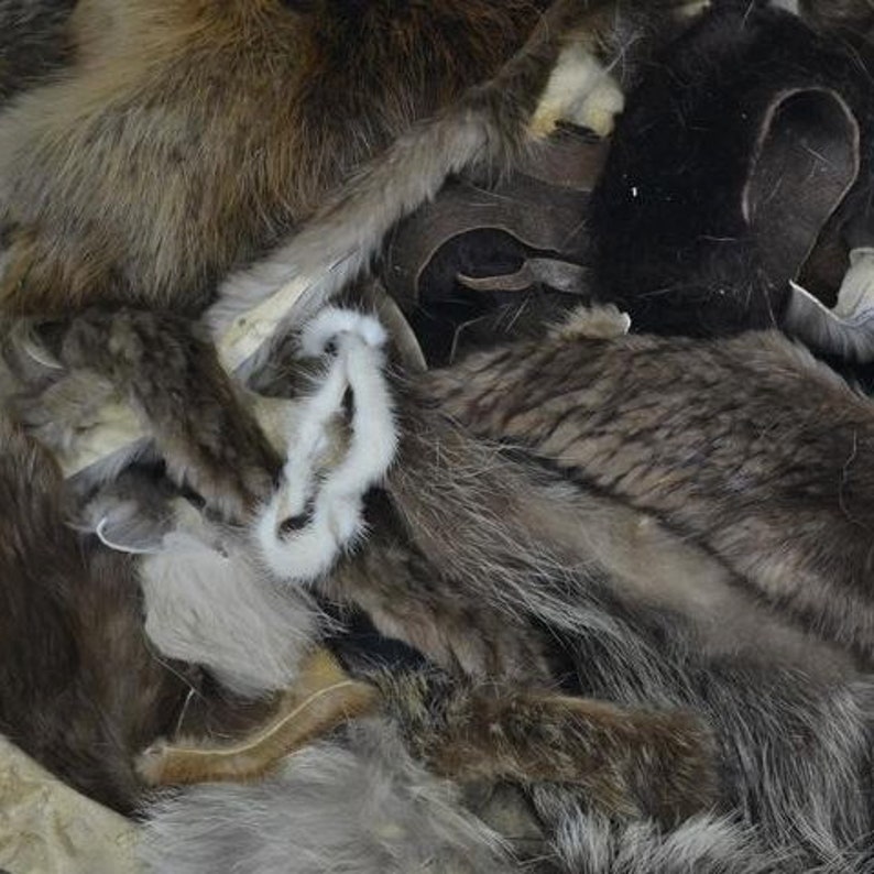 Genuine Animal Fur Scraps Fox Scraps Coyote Scraps Raccoon - Etsy