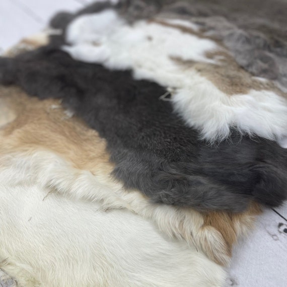 Rabbit Pelt / Natural Colors / Off White / Singles or 6 Pack / | Etsy