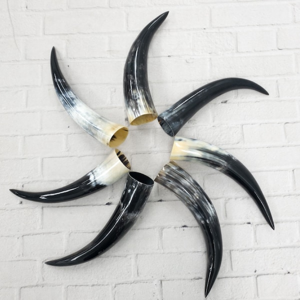 White Bone Horn - Etsy