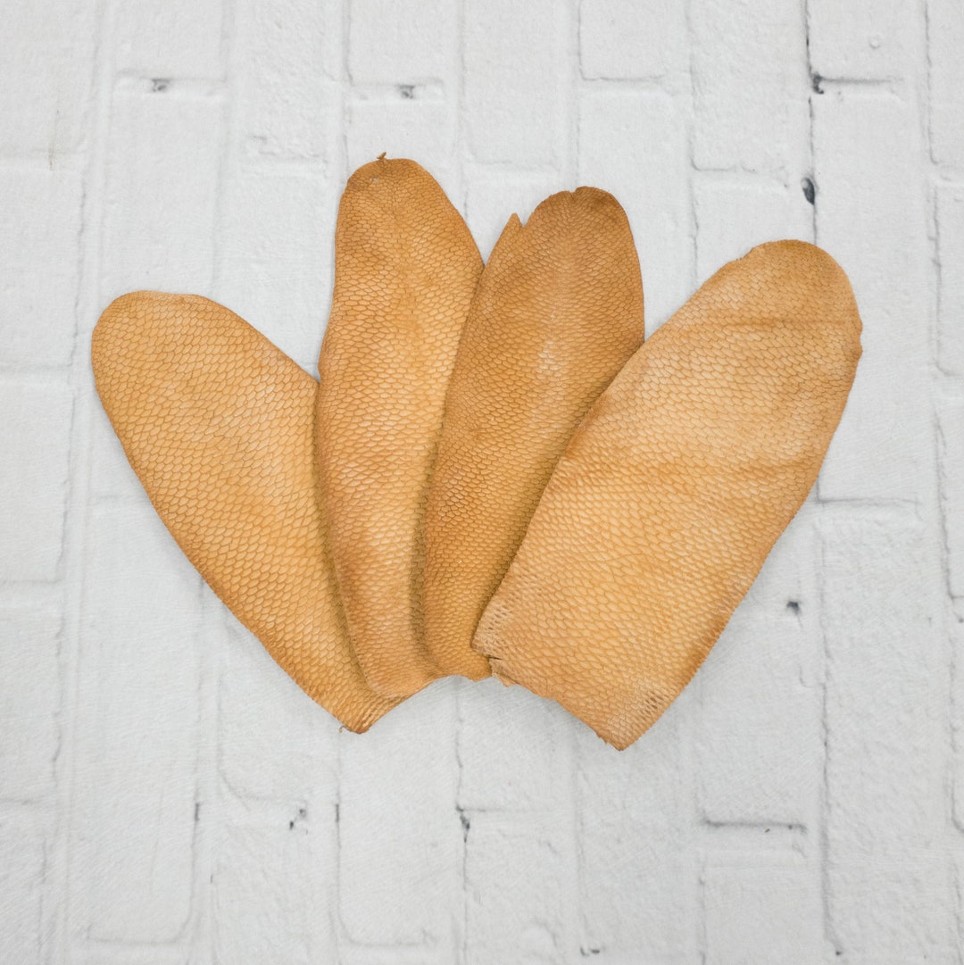 Genuine Beaver Tail Leather for Holsters Wallet Inlay Card Cases ...