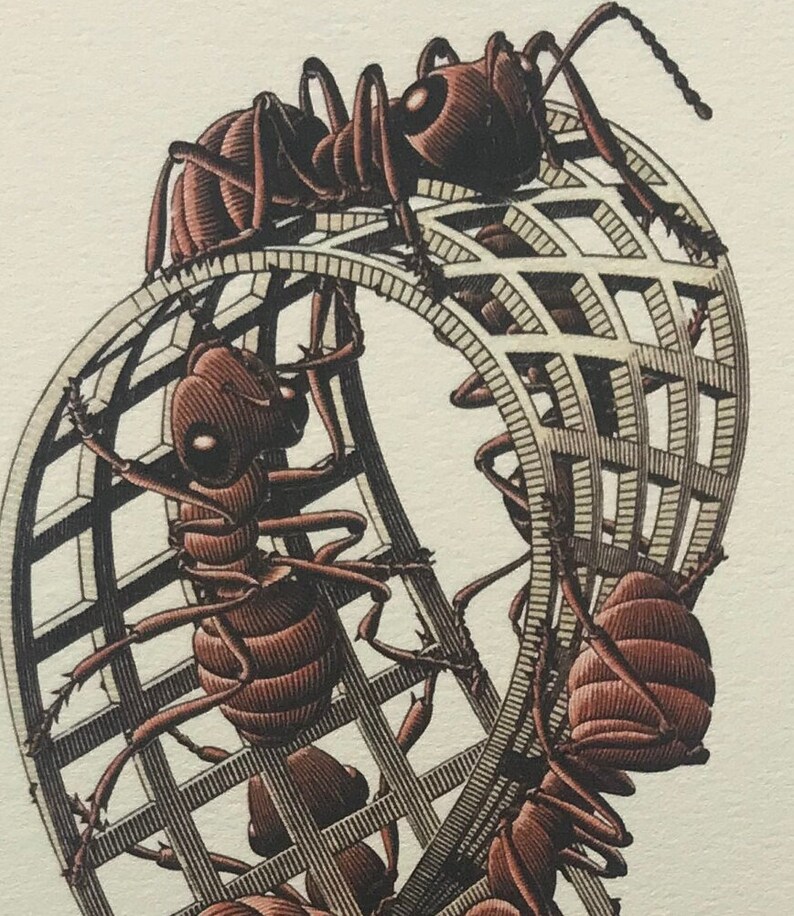 M.C. Escher, Lithograph, Limited Edition Art - Etsy