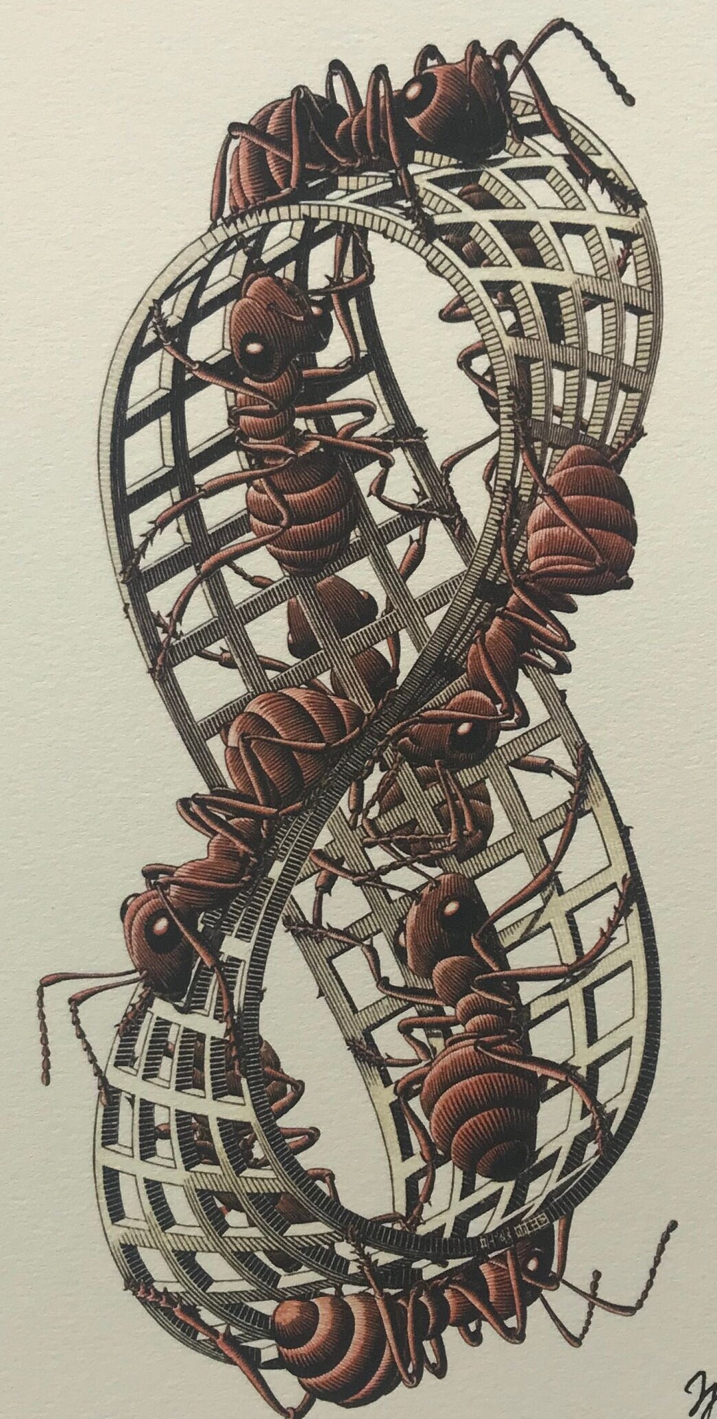 M.C. Escher, Lithograph, Limited Edition Art - Etsy