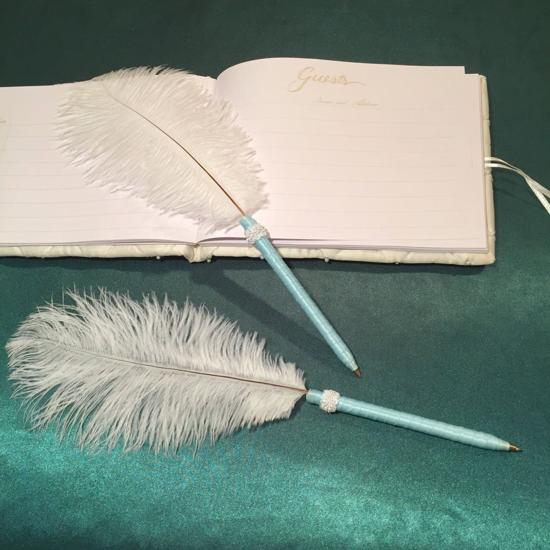 Light Blue Feather Pen Cinderella Wedding Pens Boys Baby Shower Guest ...