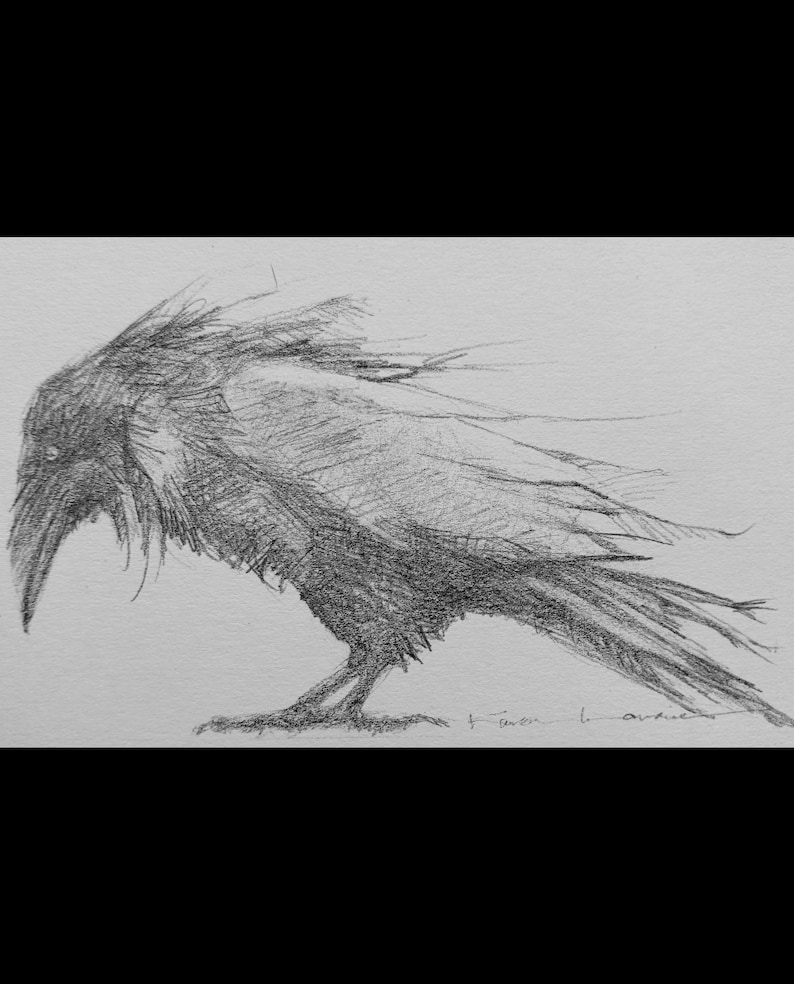 RAVEN X "trickster" Monochromatic Print of Original Pencil Drawing on ...