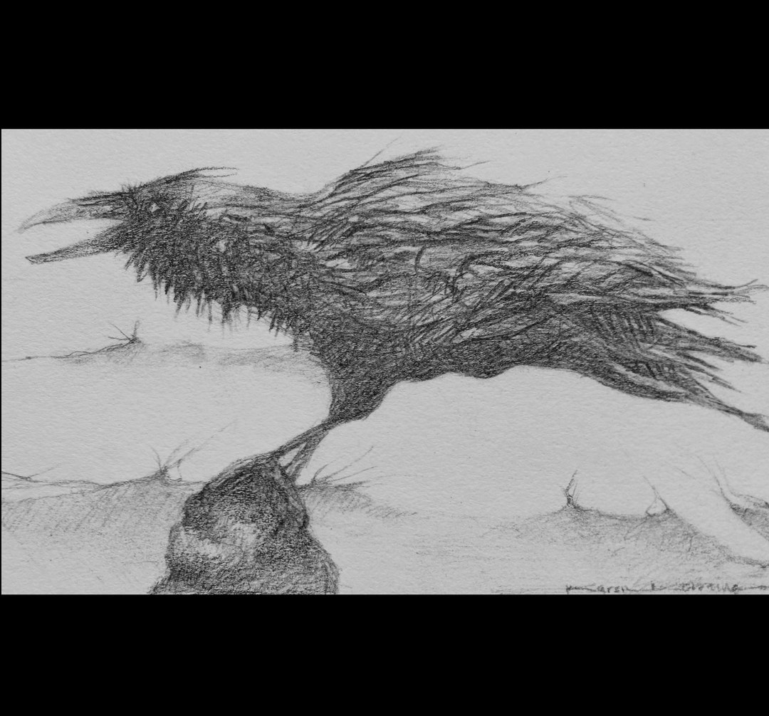 RAVEN IV "sentinel" Monochromatic Print of Original Pencil Drawing by ...