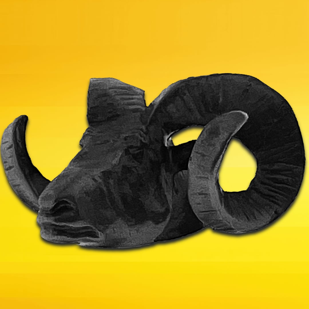 Paracord Bead Matt Black Ram Head - Etsy