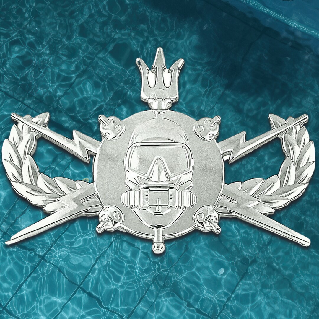 Hazardous Devices Technician Diver Pin Silver - Etsy