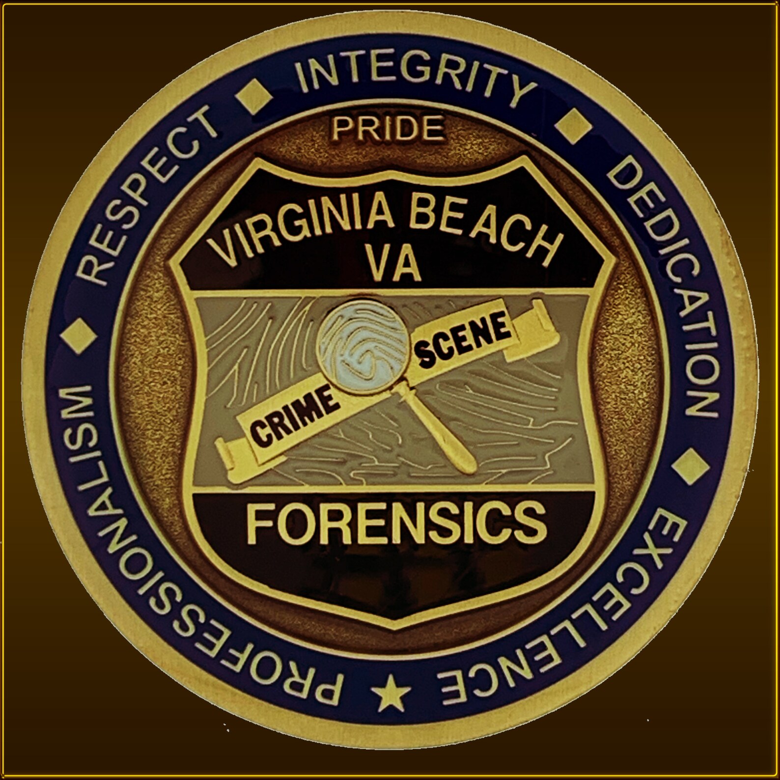 Virginia Beach Police Forensic Challenge Coin - Etsy