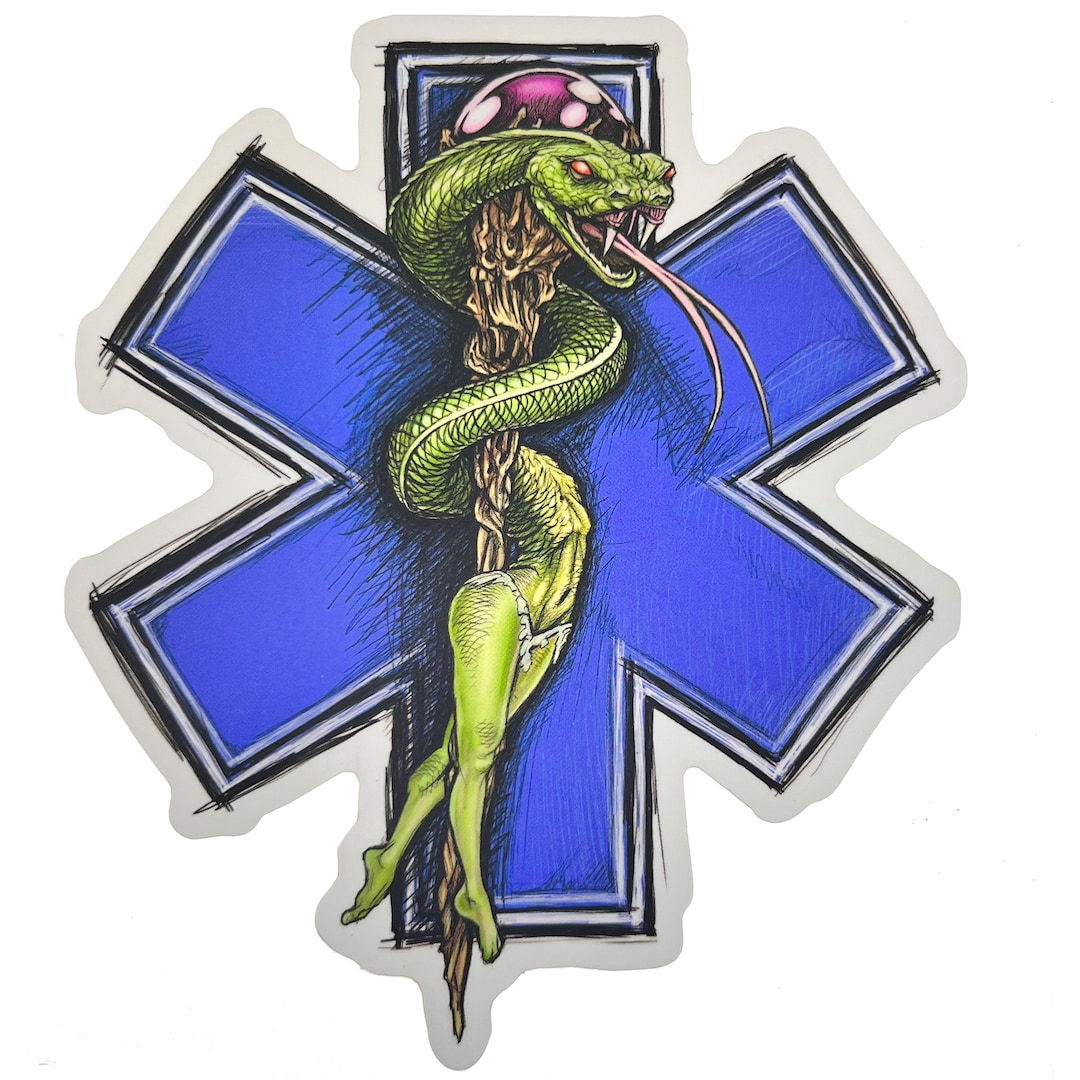 Star of Life Sticker - Etsy