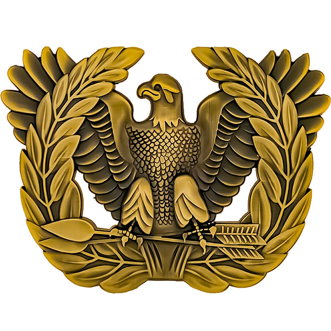 Warrant Officer Car Emblem - Etsy