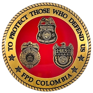 Force Protection Detachment Challenge Coin - Etsy