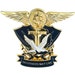 Air Crew Rescue Swimmer Pin - Etsy