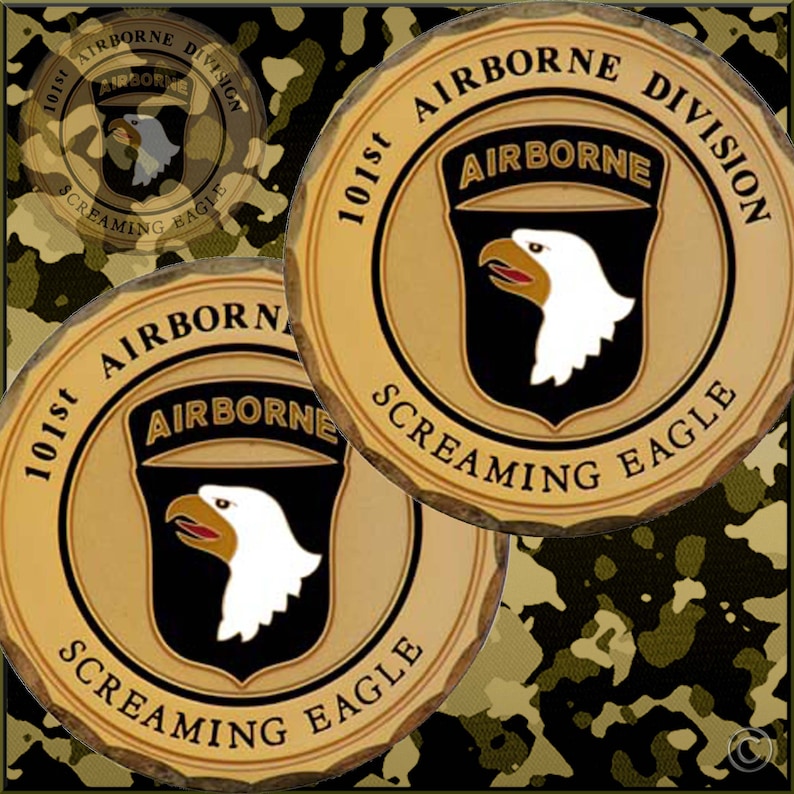 101st Airborne Division Challenge Coin - Etsy