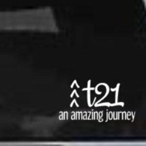 Down Syndrome Awareness, T21, Trisomy 21 Car Decal, Love Doesn't Count ...